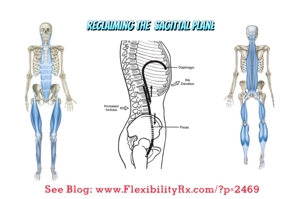 Reclaiming The Sagittal Plane FlexibilityRx Performance Based 
