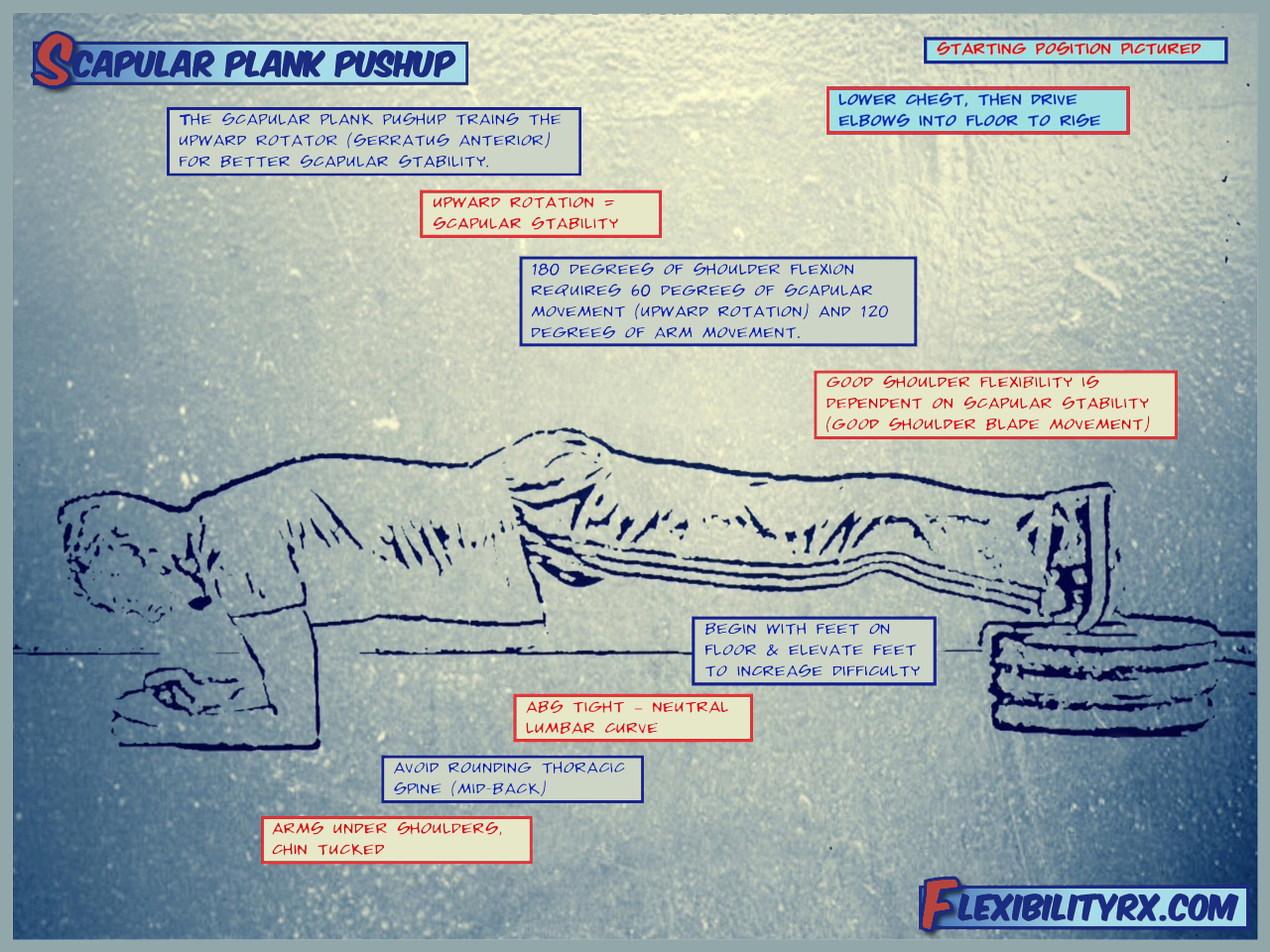 Scapular Plank Pushup for Scapular Stability | FlexibilityRx ...
